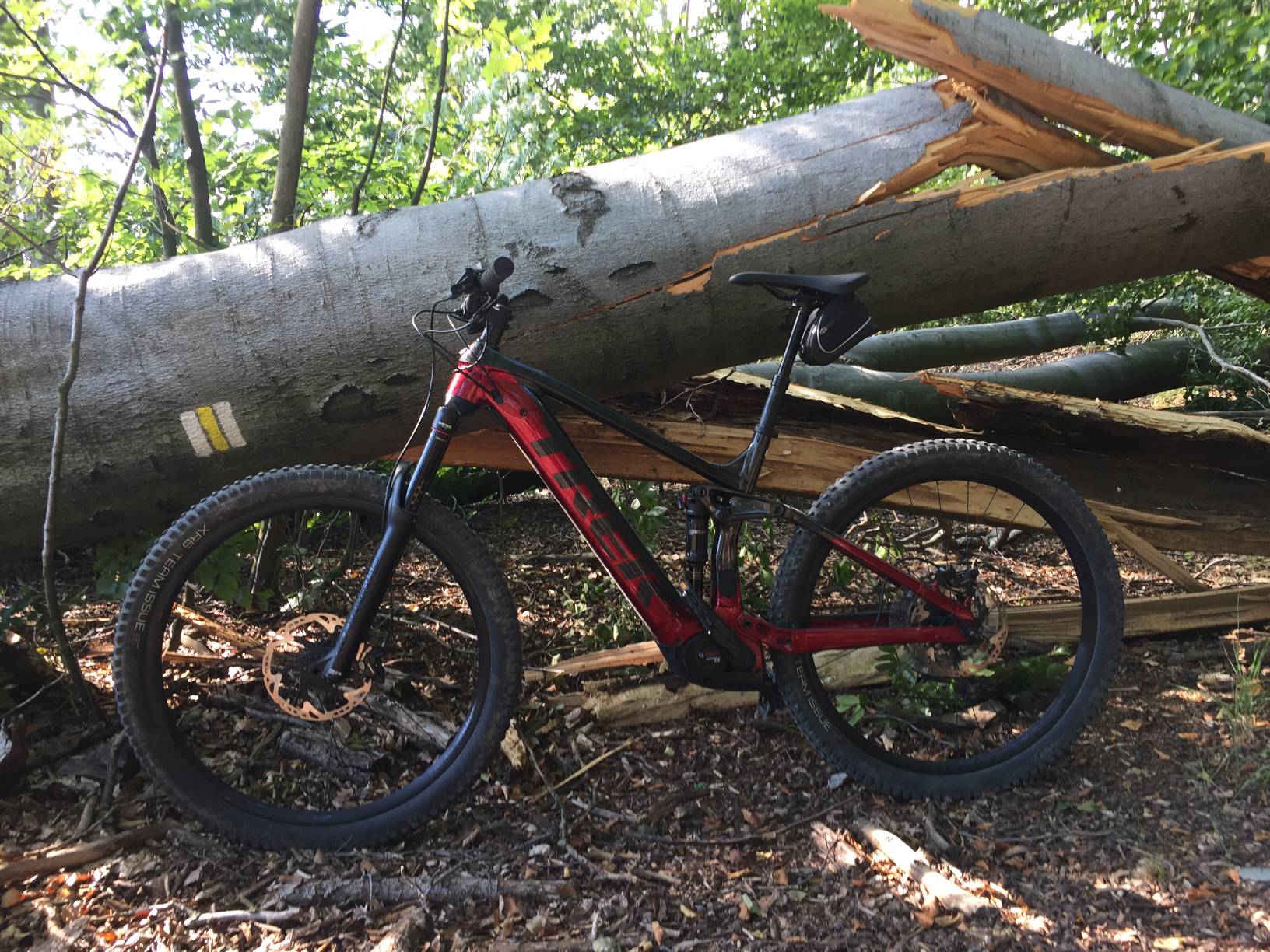 Trek Rail 7: Je zábavný a priťahuje pohľady | TEST